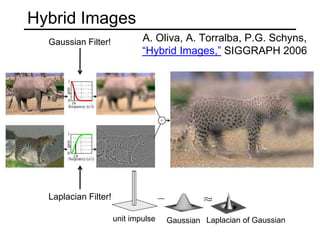 LaplacianPyramids which is a image processing to extract the ...