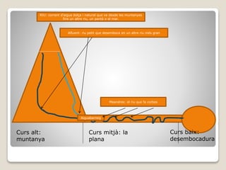 La plana al segon cicle de primària | PPTX