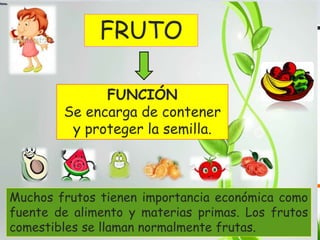 La planta | PPTX