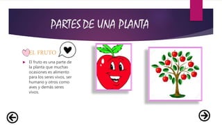 La planta jessica bueno 12º | PPTX