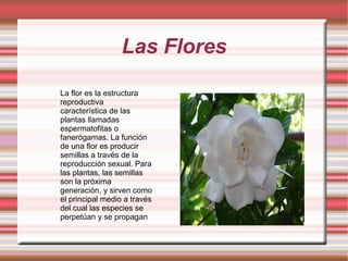 La plantas y sus partes | ODP