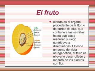 La plantas y sus partes | ODP