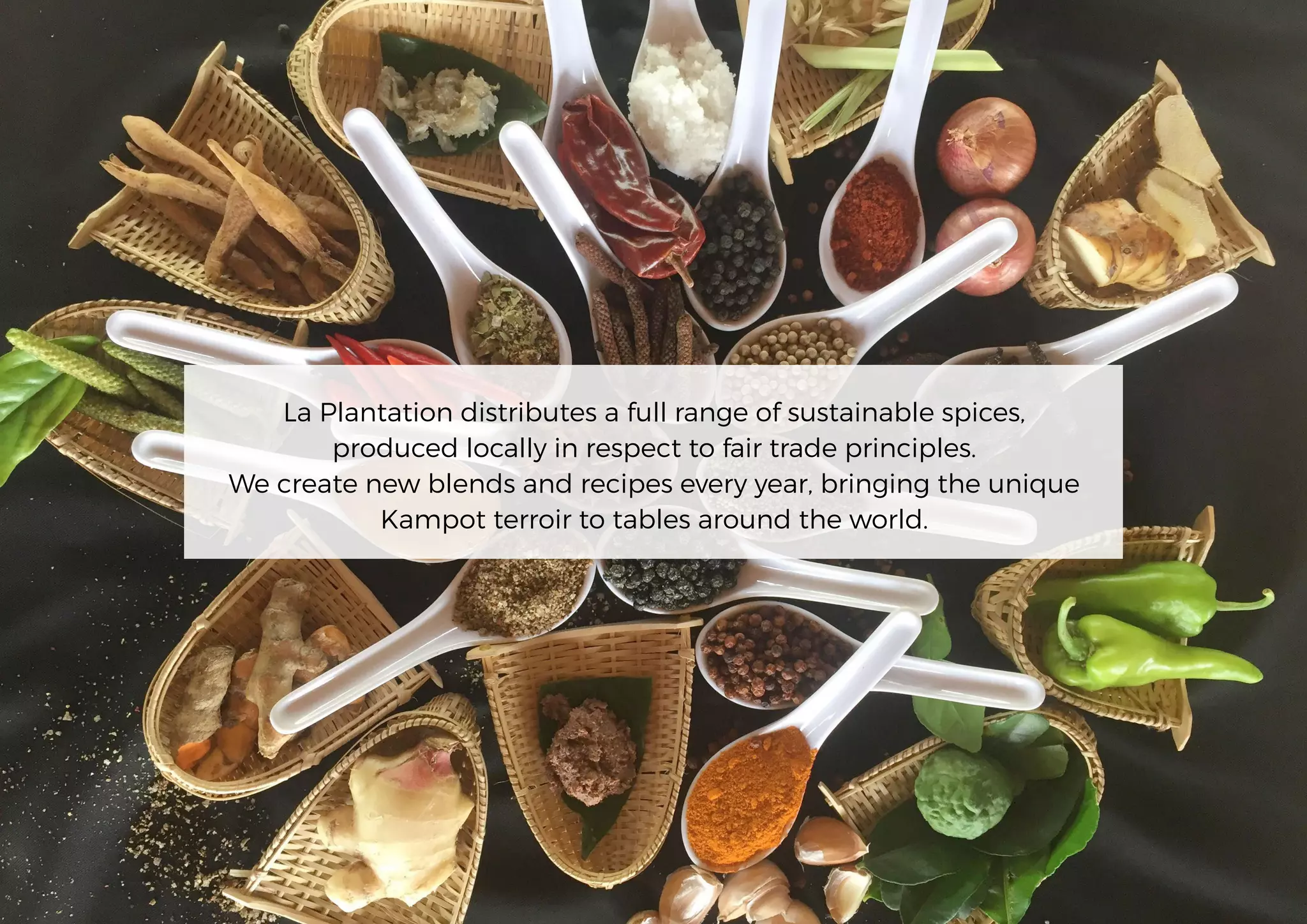 La Plantation - Sustainable Spices Producer | PDF
