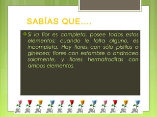 La Planta y sus partes | PPT