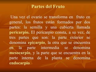 La planta, sus partes y la importacia para el medio ambientepptx | PPTX