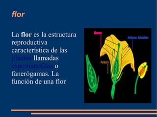 La planta y sus partes 6b | ODP