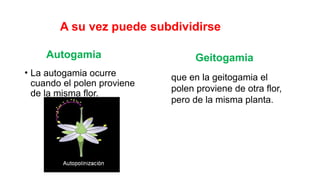 La polinización EN LA PROD. APICULTURA .pptx