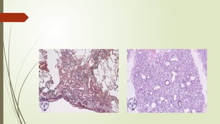 Lap one 4th stage practically histo.pptx