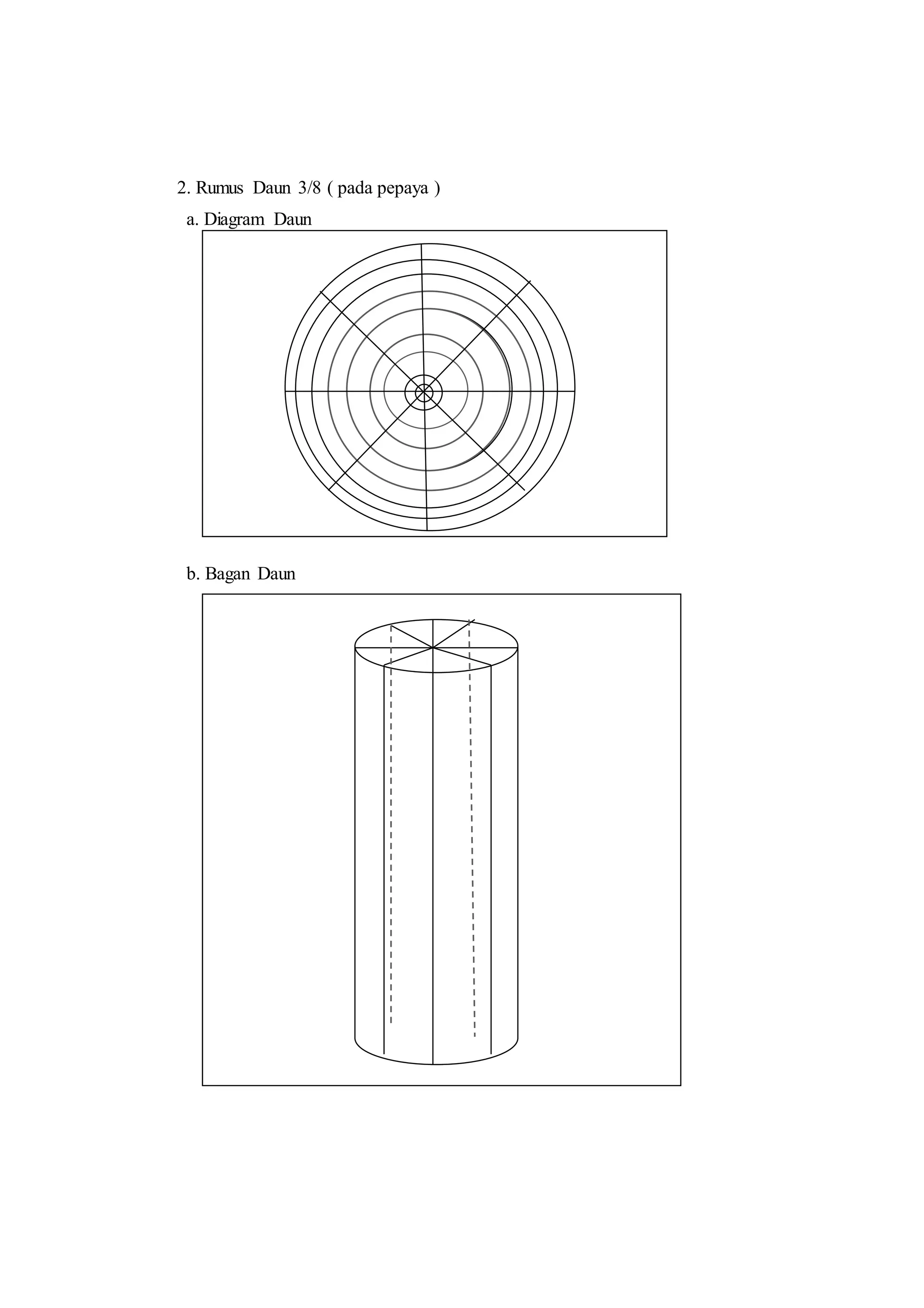 Laporan praktikum 3 tata letak daun rumus daun dan diagram daun ...
