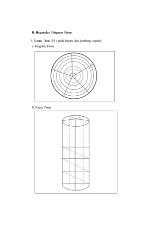 Laporan praktikum 3 tata letak daun rumus daun dan diagram daun ...