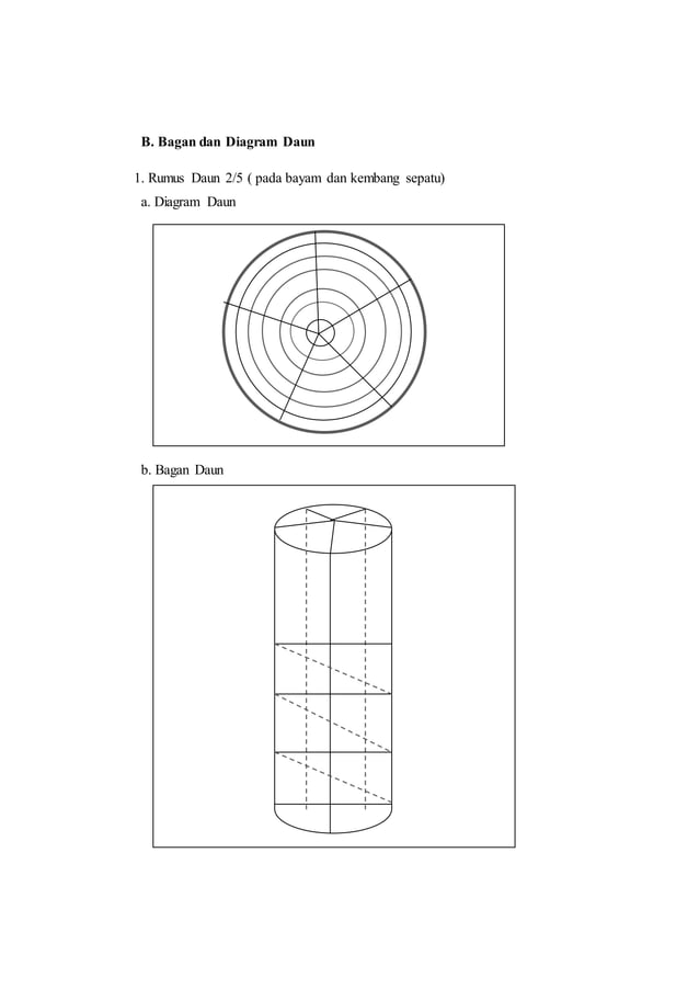 Laporan praktikum 3 tata letak daun rumus daun dan diagram daun (morfologi tumbuhan) | DOCX