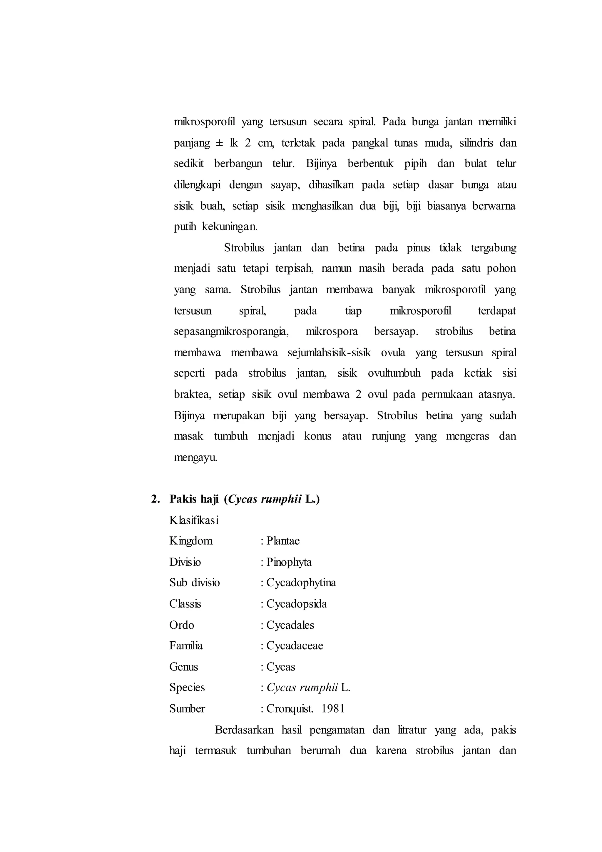 Laporan praktikum 9 strobilus gymnospermae (morfologi tumbuhan) | DOCX