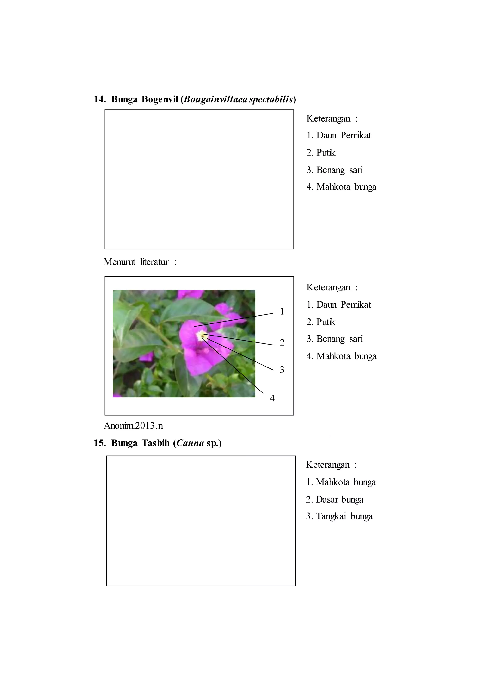 Laporan praktikum 6 bunga majemuk (morfologi tumbuhan) | DOCX