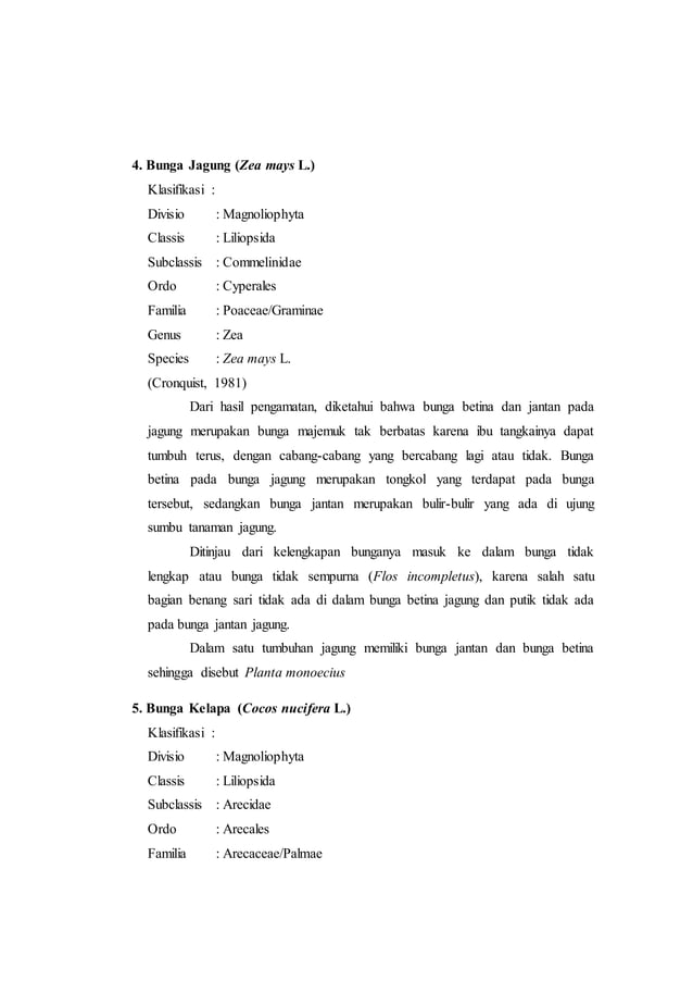 Laporan praktikum 6 bunga majemuk (morfologi tumbuhan) | DOCX