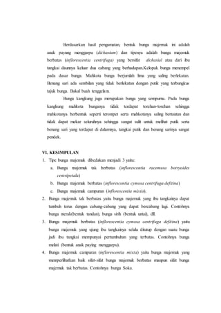 Laporan praktikum 6 bunga majemuk (morfologi tumbuhan) | DOCX