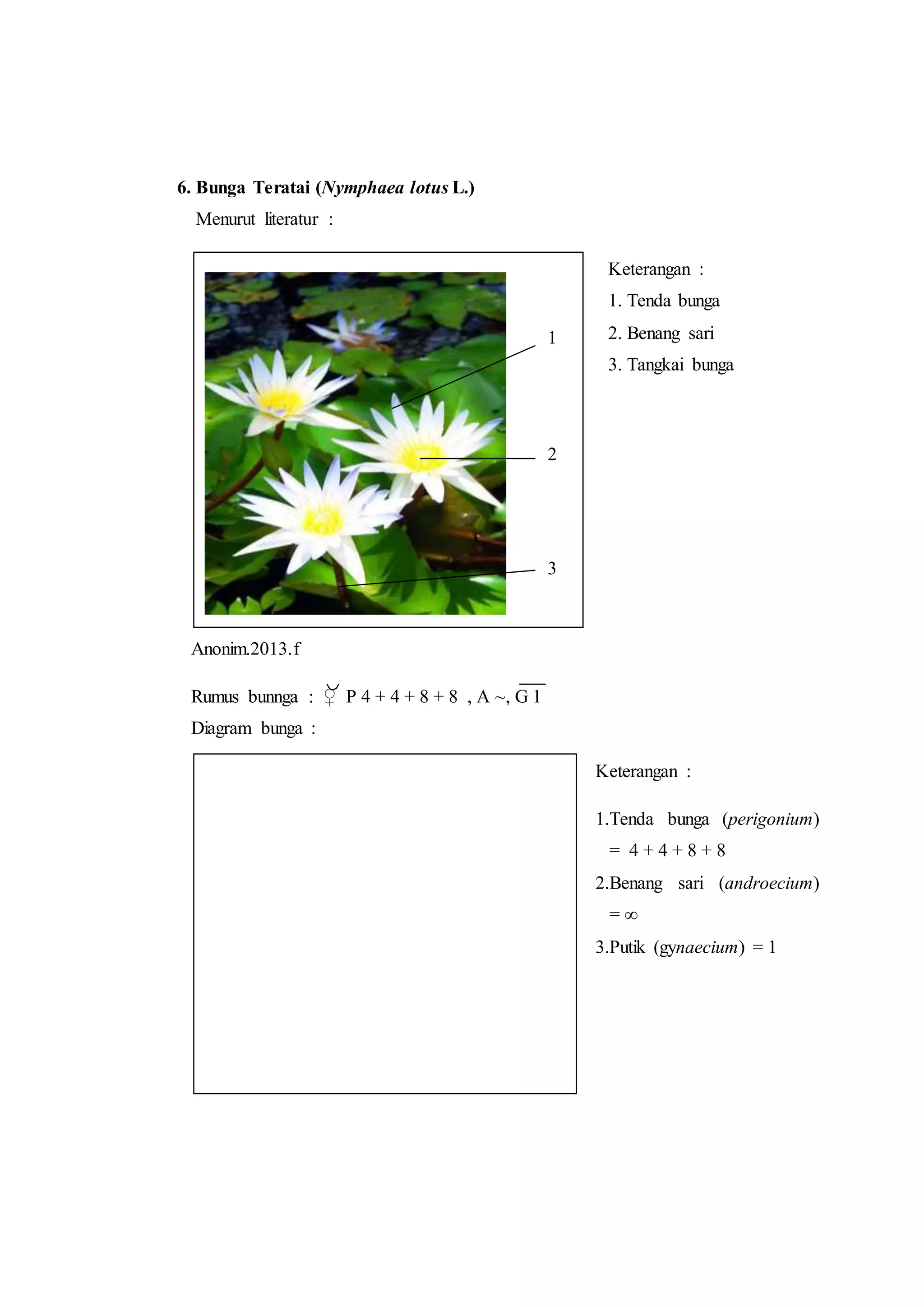 Laporan praktikum 7 rumus bunga dan diagram bunga (morfologi tumbuhan ...