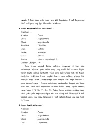 Laporan praktikum 7 rumus bunga dan diagram bunga (morfologi tumbuhan ...