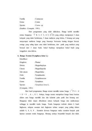 Laporan praktikum 7 rumus bunga dan diagram bunga (morfologi tumbuhan ...