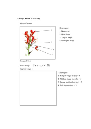 Laporan praktikum 7 rumus bunga dan diagram bunga (morfologi tumbuhan ...