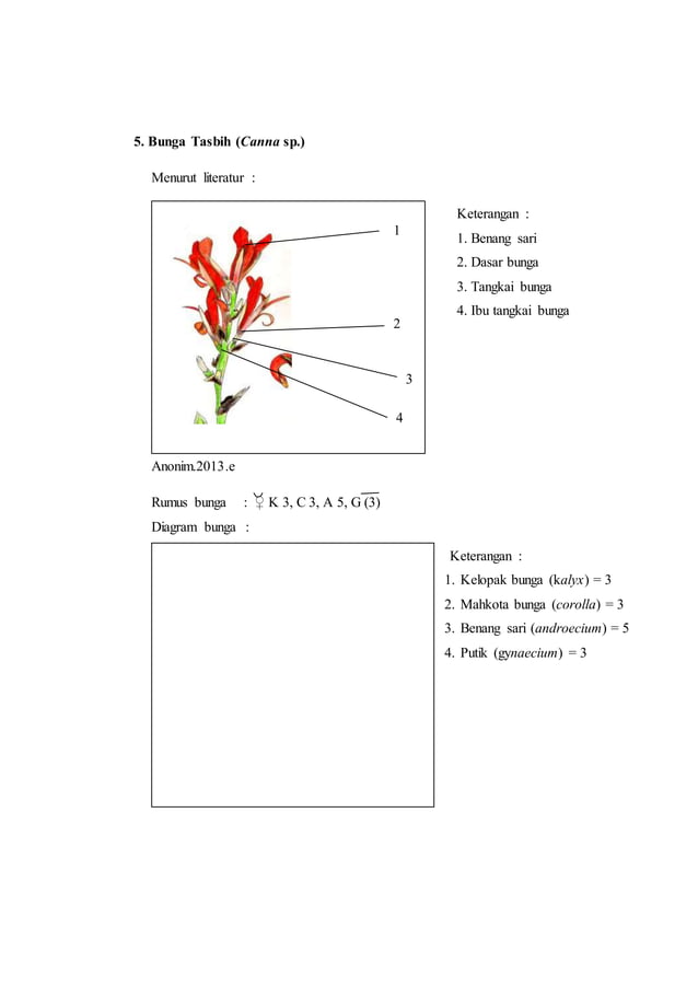 Laporan Praktikum 7 Rumus Bunga Dan Diagram Bunga Morfologi Tumbuhan