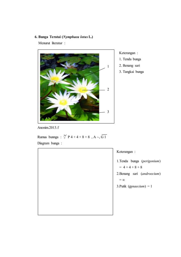 Laporan praktikum 7 rumus bunga dan diagram bunga (morfologi tumbuhan) | DOCX