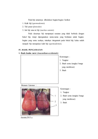 Laporan praktikum 10 buah dan biji (morfologi tumbuhan) | DOCX