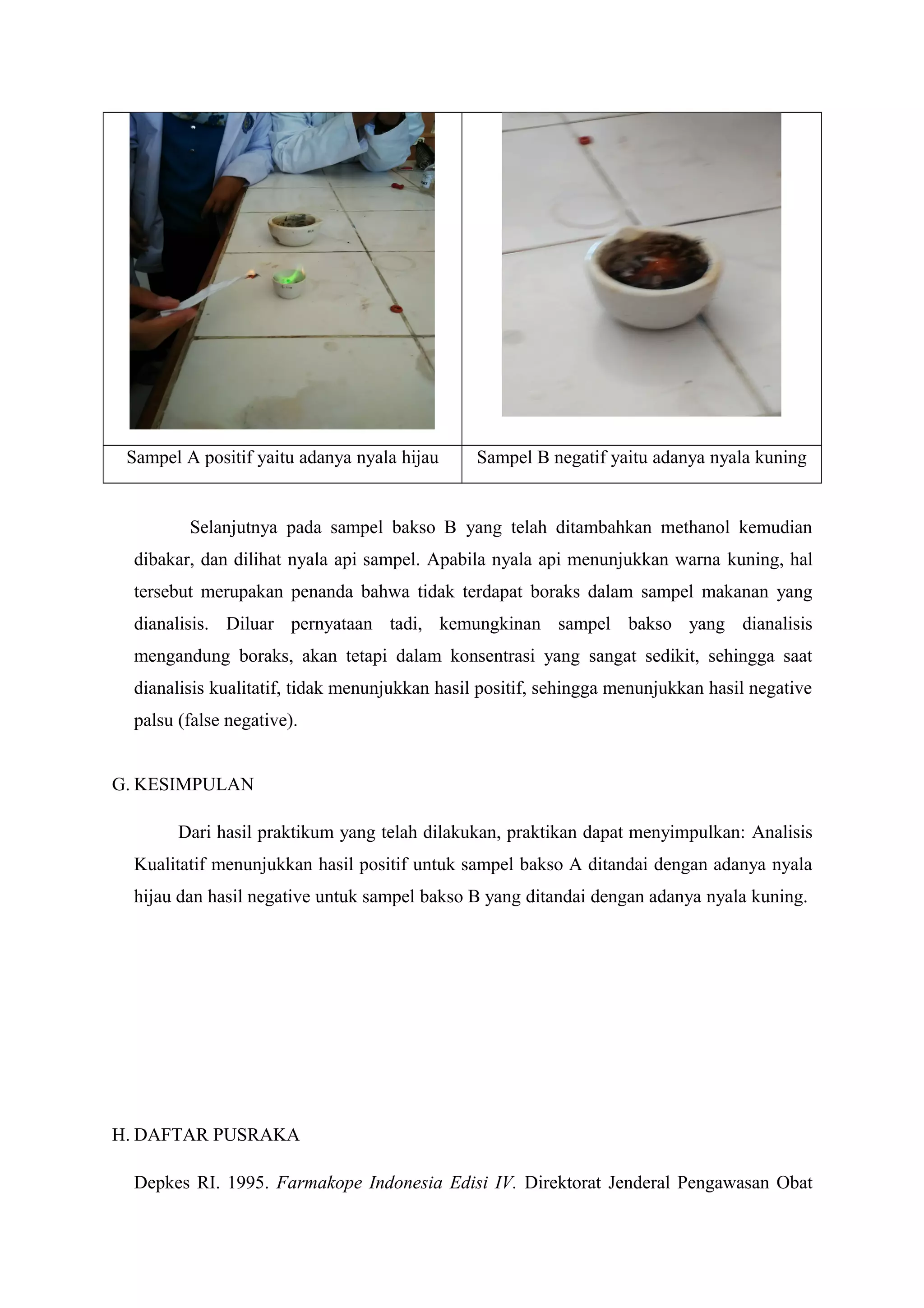 Laporan 1 uji boraks pada sampel bahan pangan | DOC