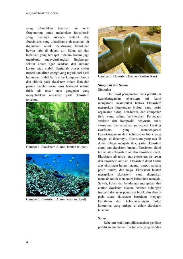 LAPORAN 7 EKOSISTEM Biologi Umum 01.docx