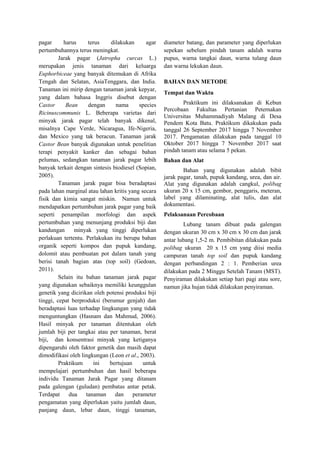 Pertumbuhan Tanaman Jarak Pagar | PDF