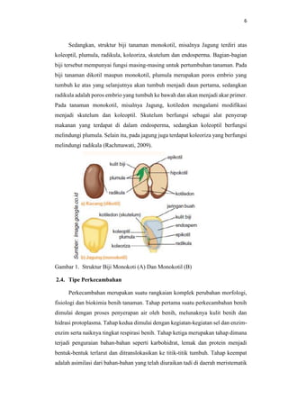 Struktur dan Tipe Perkecambahan Benih | PDF