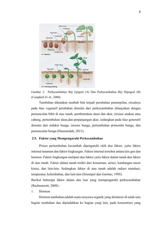 Struktur dan Tipe Perkecambahan Benih | PDF