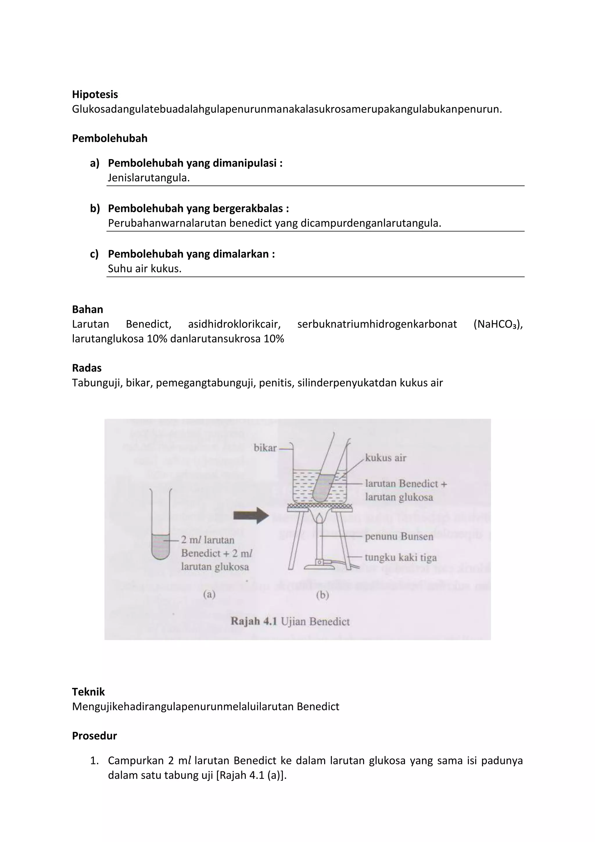 Laporan amali bio 4.1 | DOCX