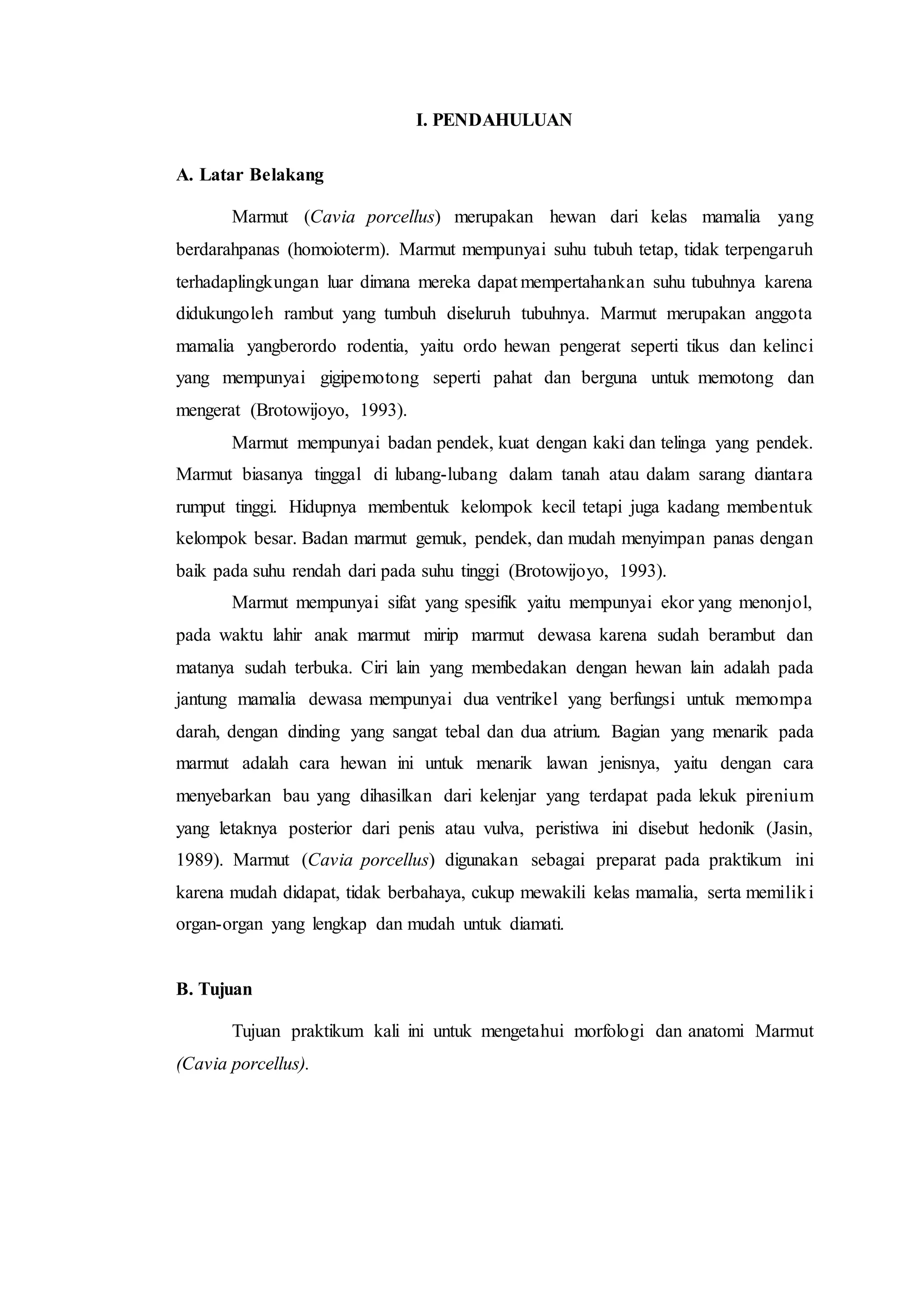 Laporan anatomi marmut | DOCX
