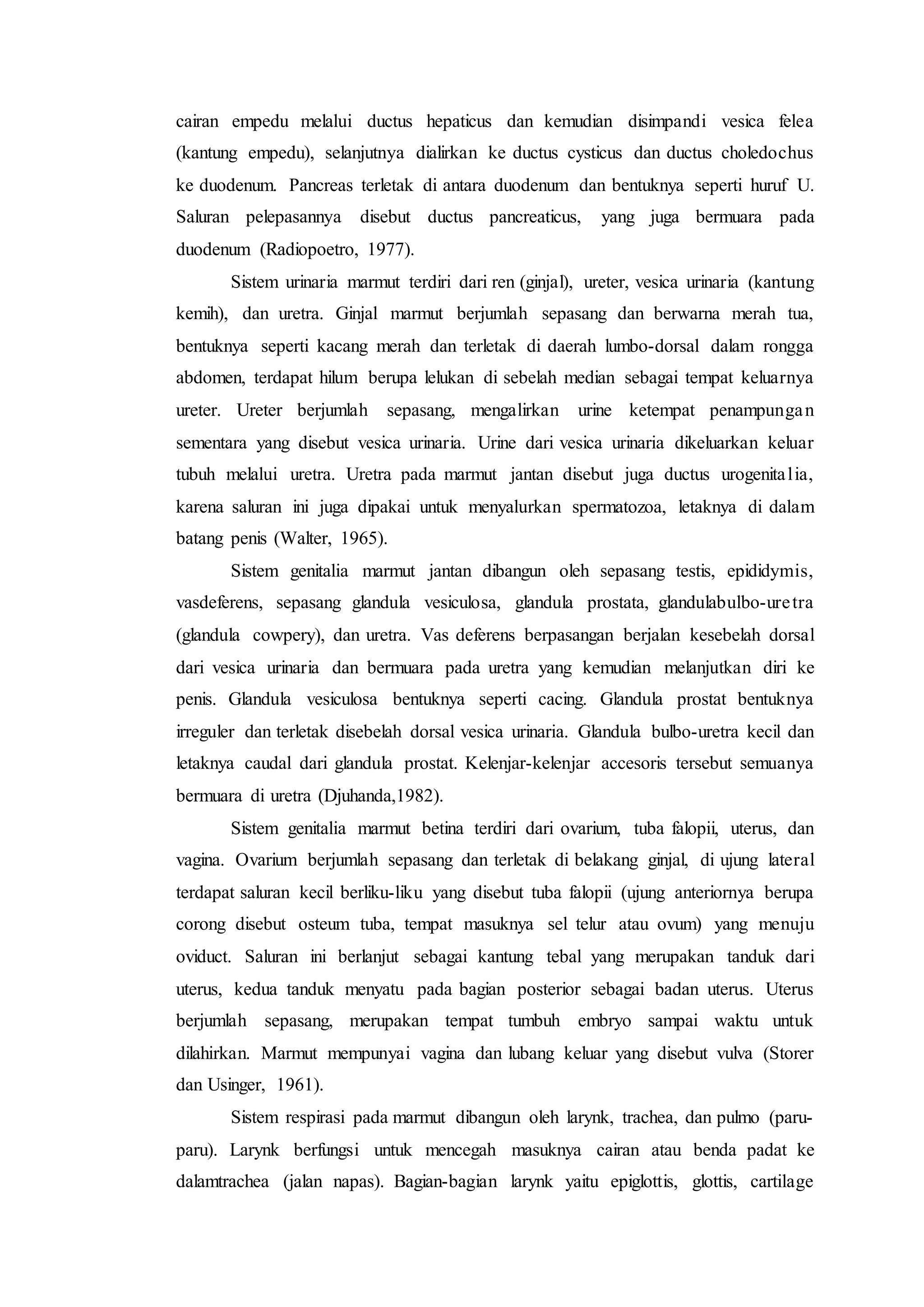 Laporan anatomi marmut | DOCX