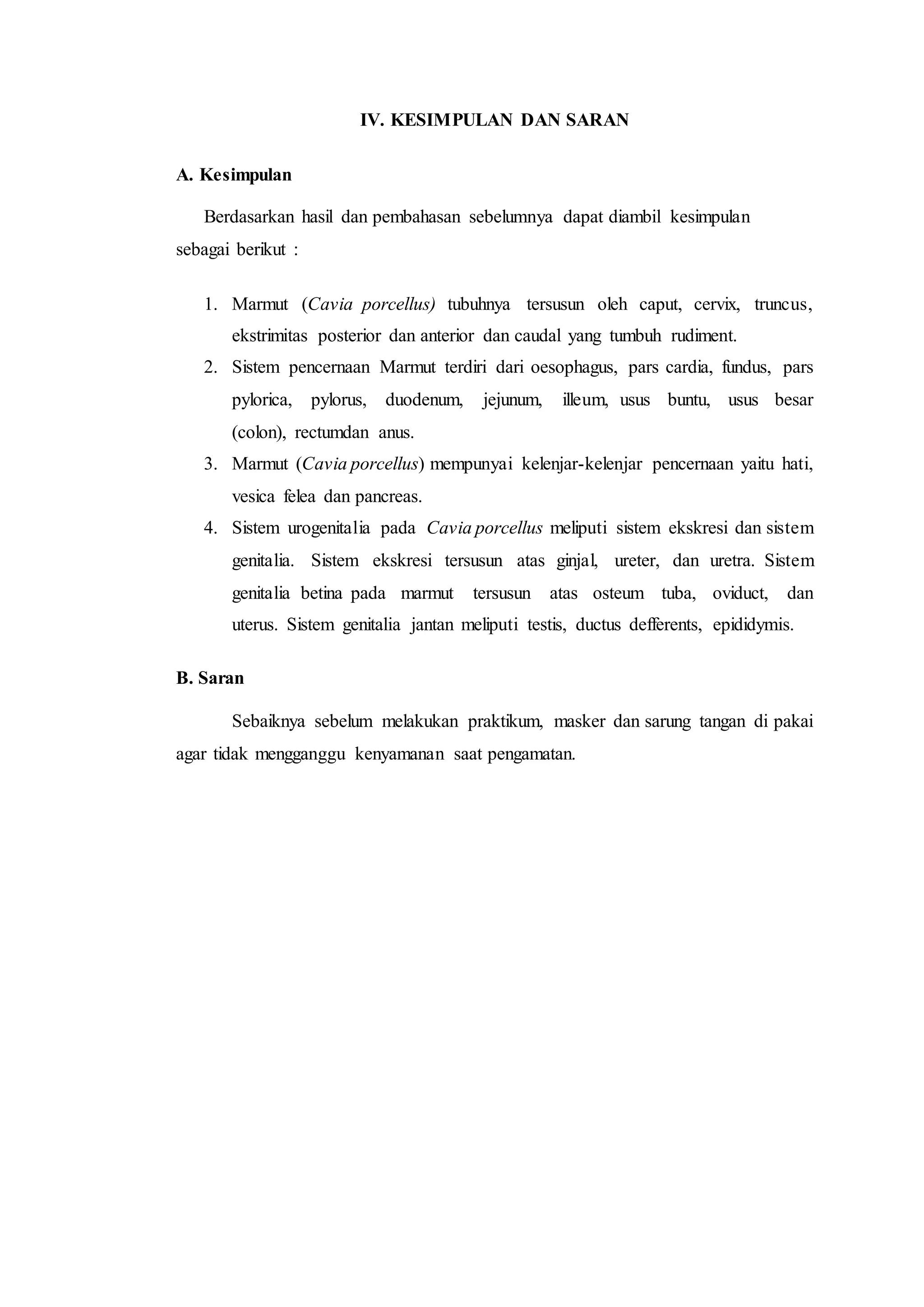 Laporan anatomi marmut | DOCX