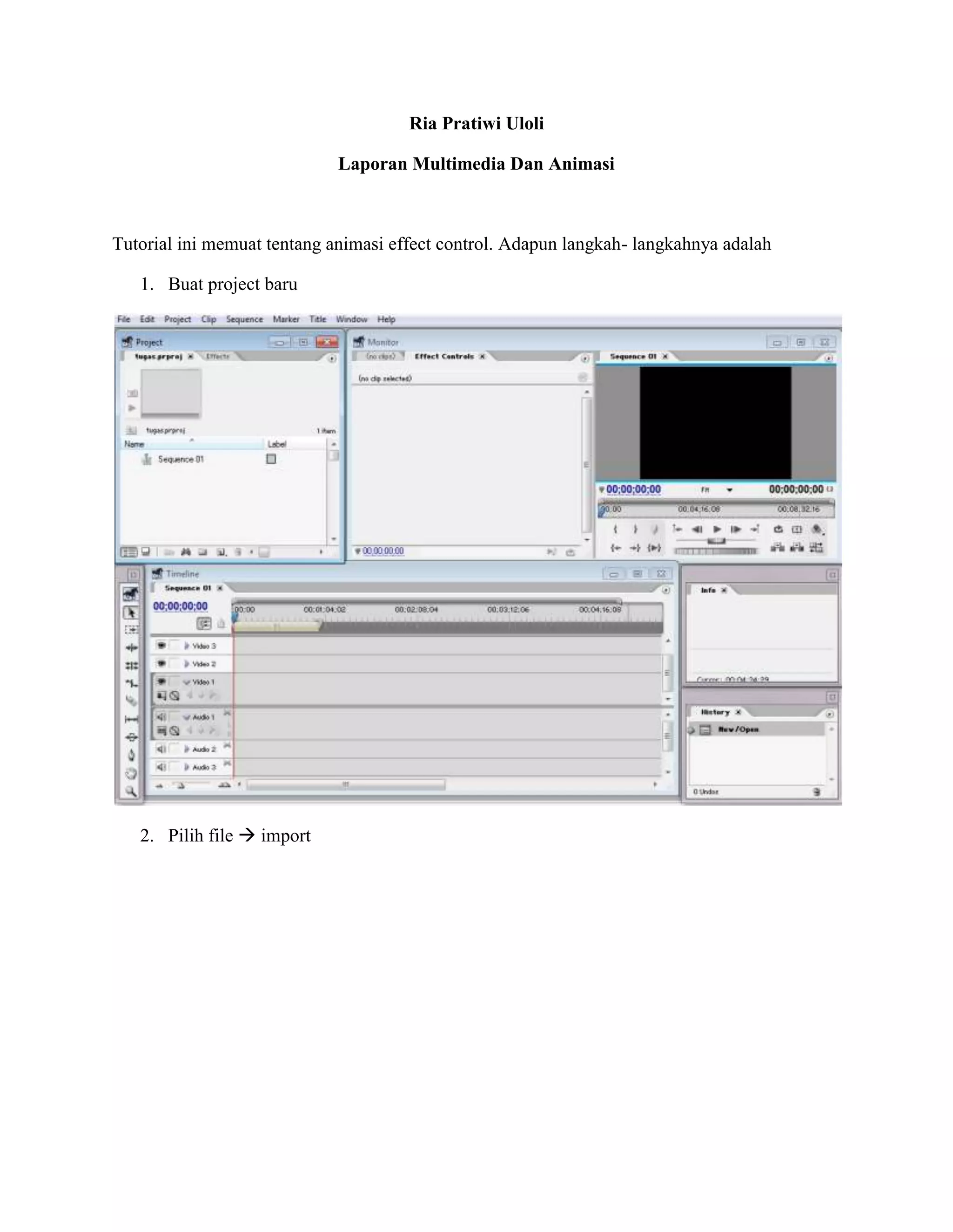 Laporan animasi ria | PDF
