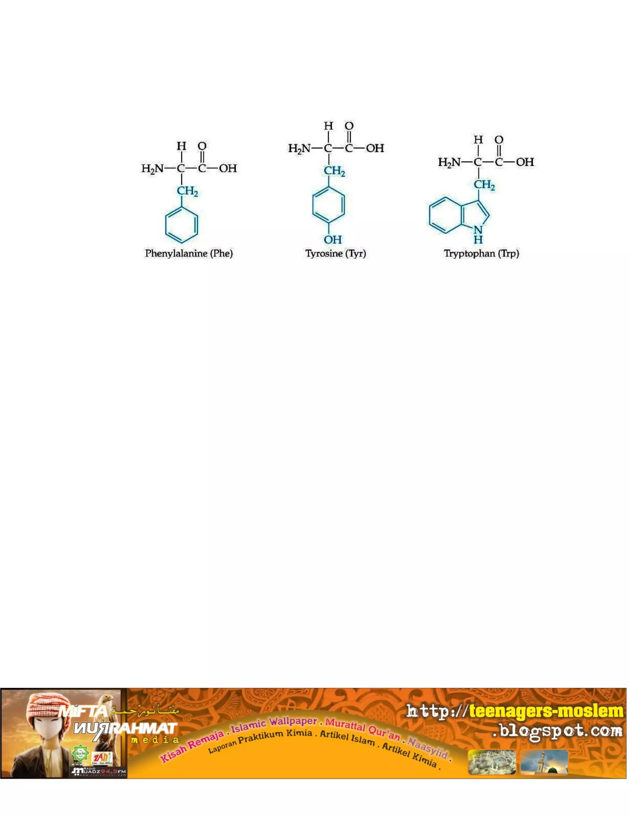 Laporan biokimia hidrolisis protein | PDF