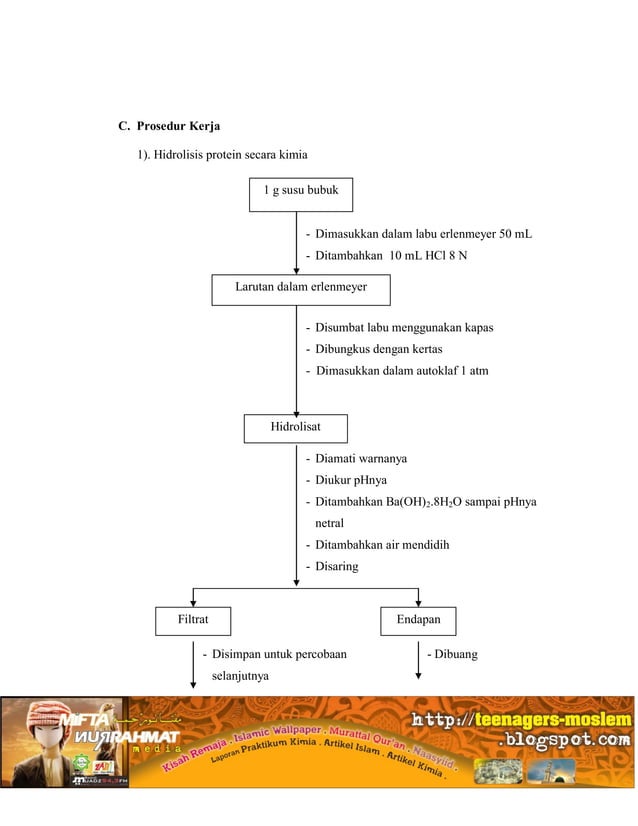 Laporan biokimia hidrolisis protein | PDF