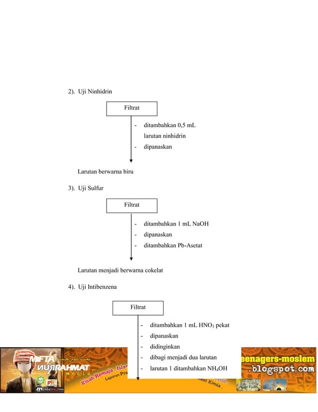 Laporan biokimia hidrolisis protein | PDF