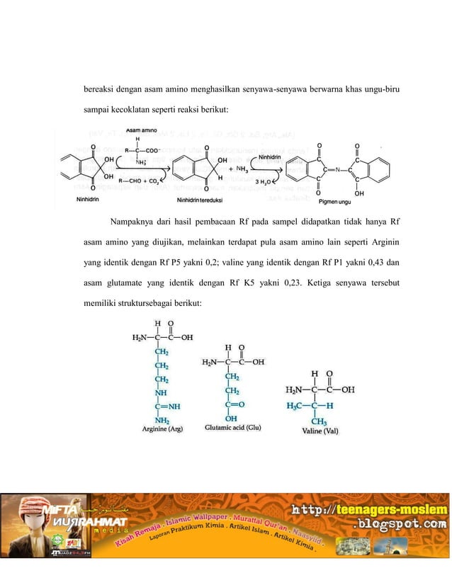 Laporan biokimia hidrolisis protein | PDF
