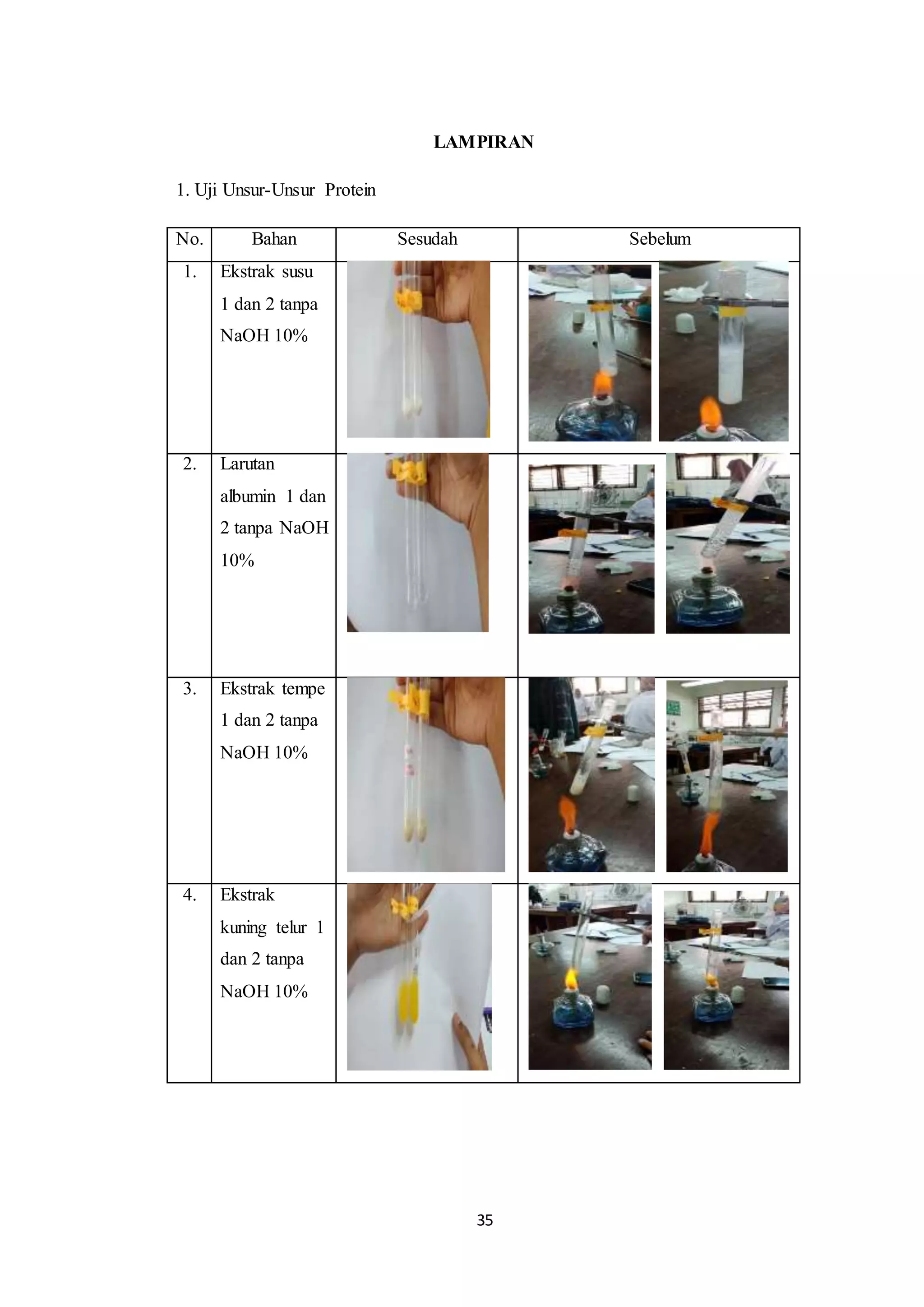 Laporan Biokimia Praktikum Protein: Uji Unsur-Unsur Protein, Uji ...