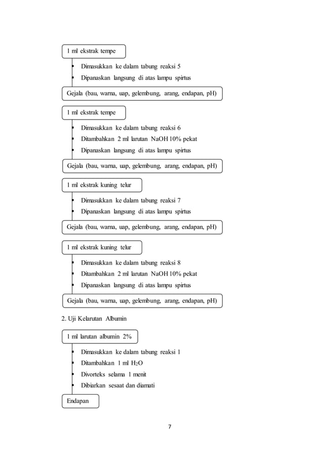 Laporan Biokimia Praktikum Protein: Uji Unsur-Unsur Protein, Uji ...