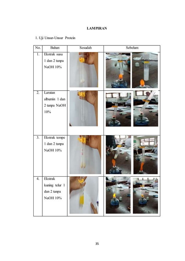 Laporan Biokimia Praktikum Protein: Uji Unsur-Unsur Protein, Uji ...