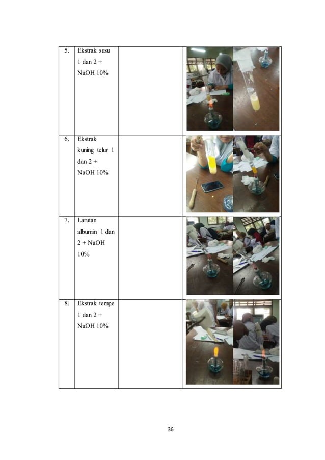 Laporan Biokimia Praktikum Protein: Uji Unsur-Unsur Protein, Uji ...