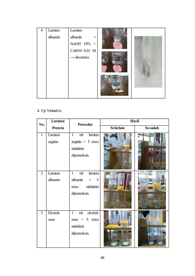 Laporan Biokimia Praktikum Protein: Uji Unsur-Unsur Protein, Uji ...