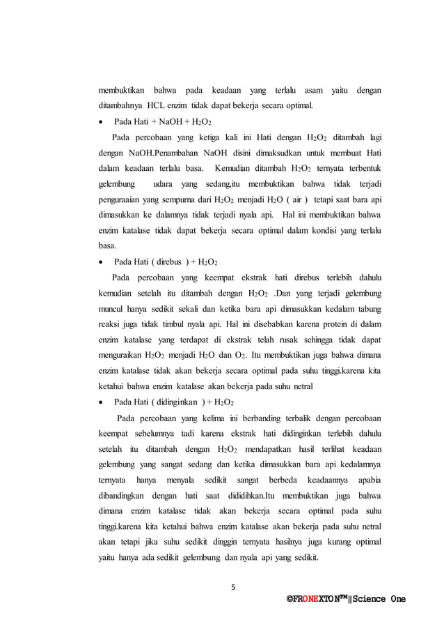 Laporan enzim katalase | PDF