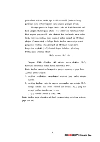 Laporan enzim katalase | PDF