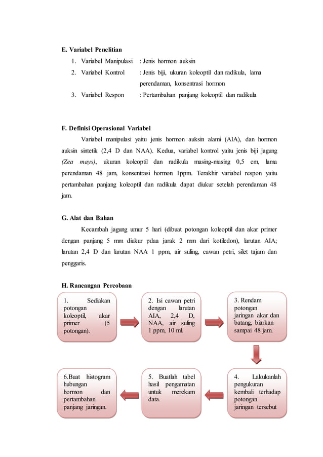 Laporan Fisiologi Tumbuhan VIII Pengaruh Hormon Auksin Terhadap ...