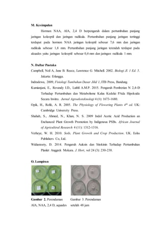 Laporan Fisiologi Tumbuhan VIII Pengaruh Hormon Auksin Terhadap ...