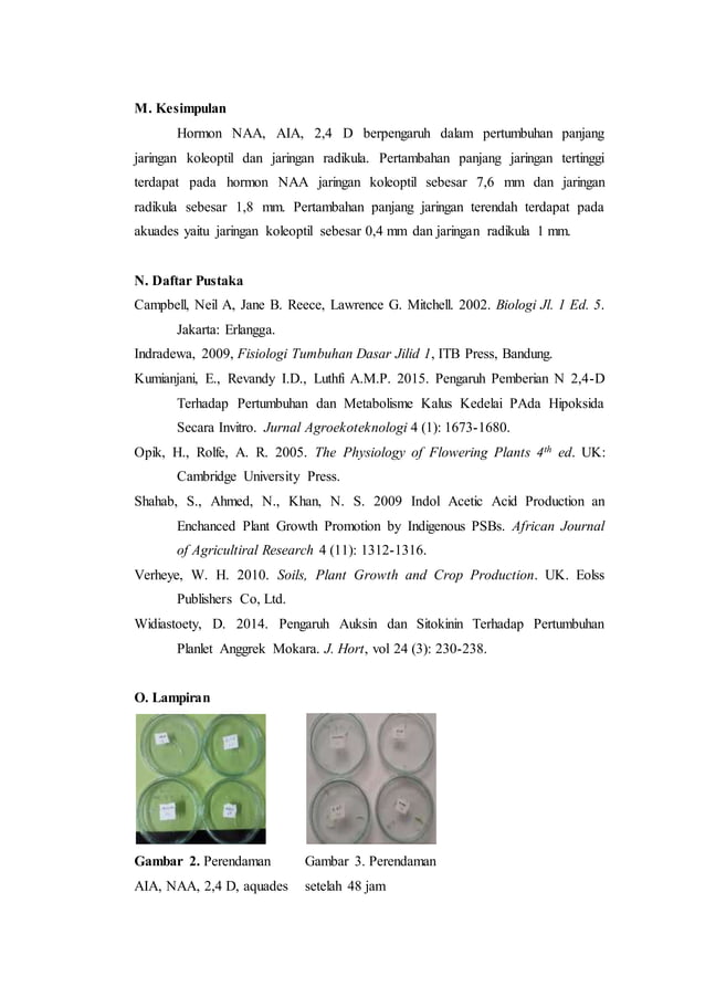 Laporan Fisiologi Tumbuhan VIII Pengaruh Hormon Auksin Terhadap ...